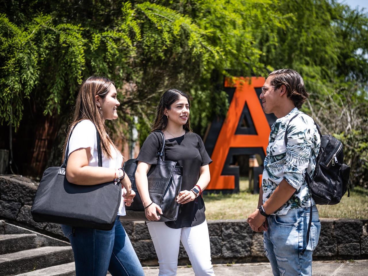 ¿Qué es una maestría y para qué sirve? | Red de Universidades Anáhuac